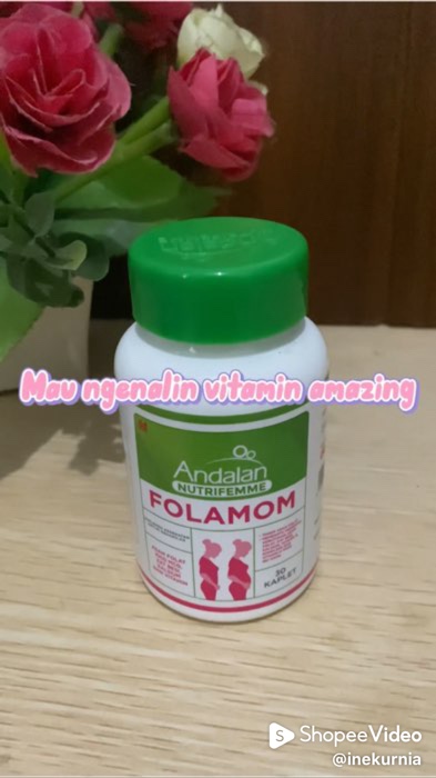 Vitamin untuk Promil dan Ibu Hamil dari ANDALAN, sudah lengkap ada ...