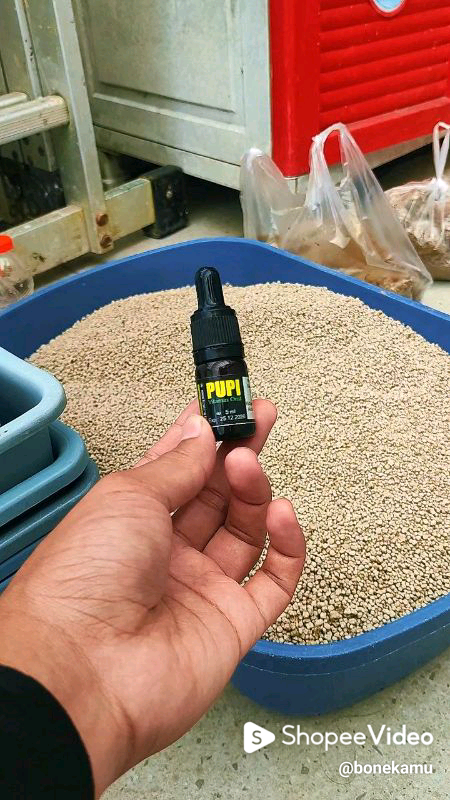 vitamin penghilang bau pup lagi viral | Shopee Video Indonesia